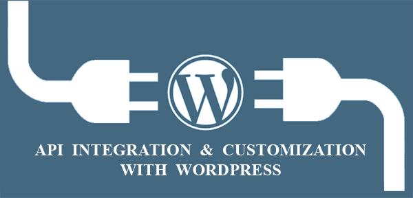 Api Integration In Wordpress And Php